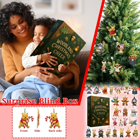 Advent Calendar 2025 for Adults Christmas Gifts for Grandkids Advent ...