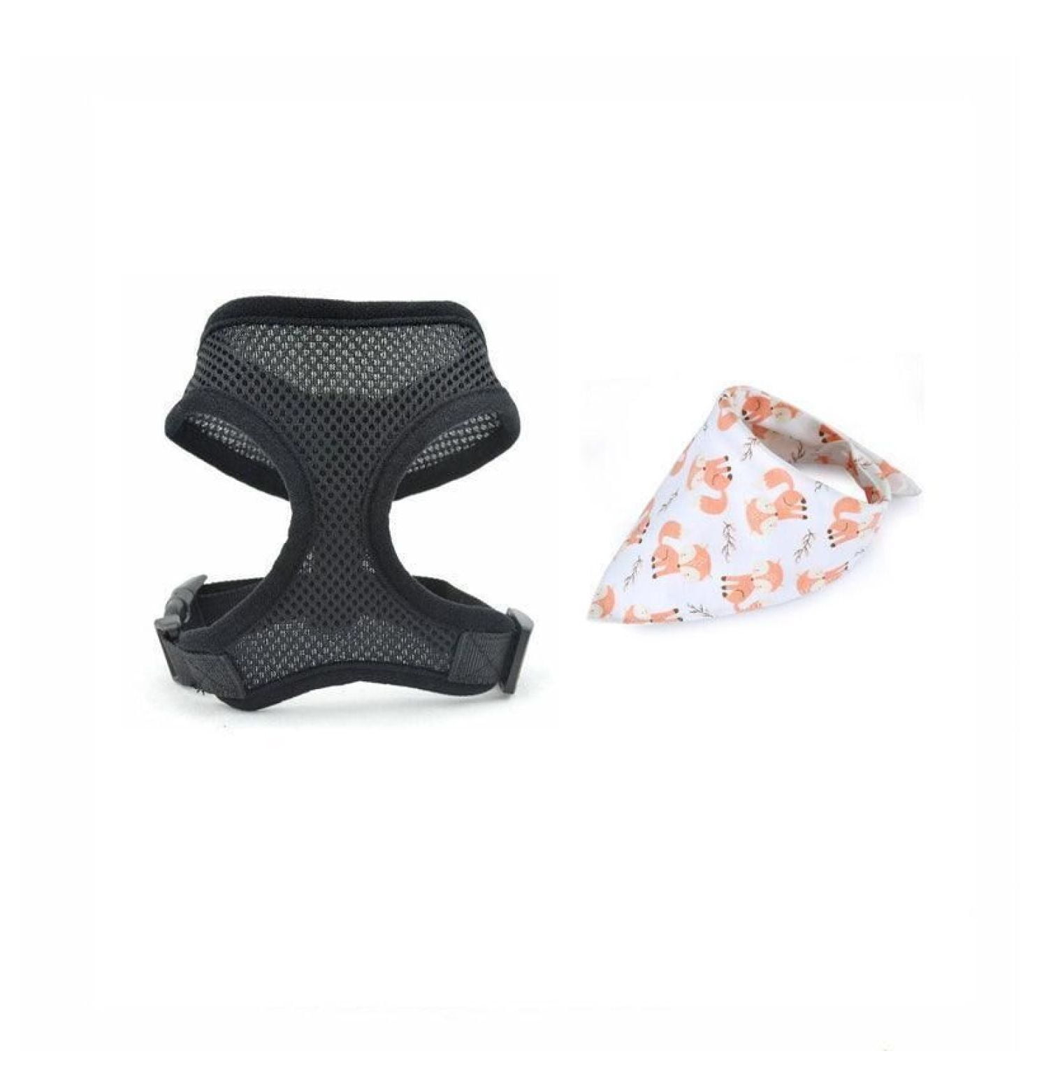 Adventure Duo: Harness And Bandana Set - Walmart.com