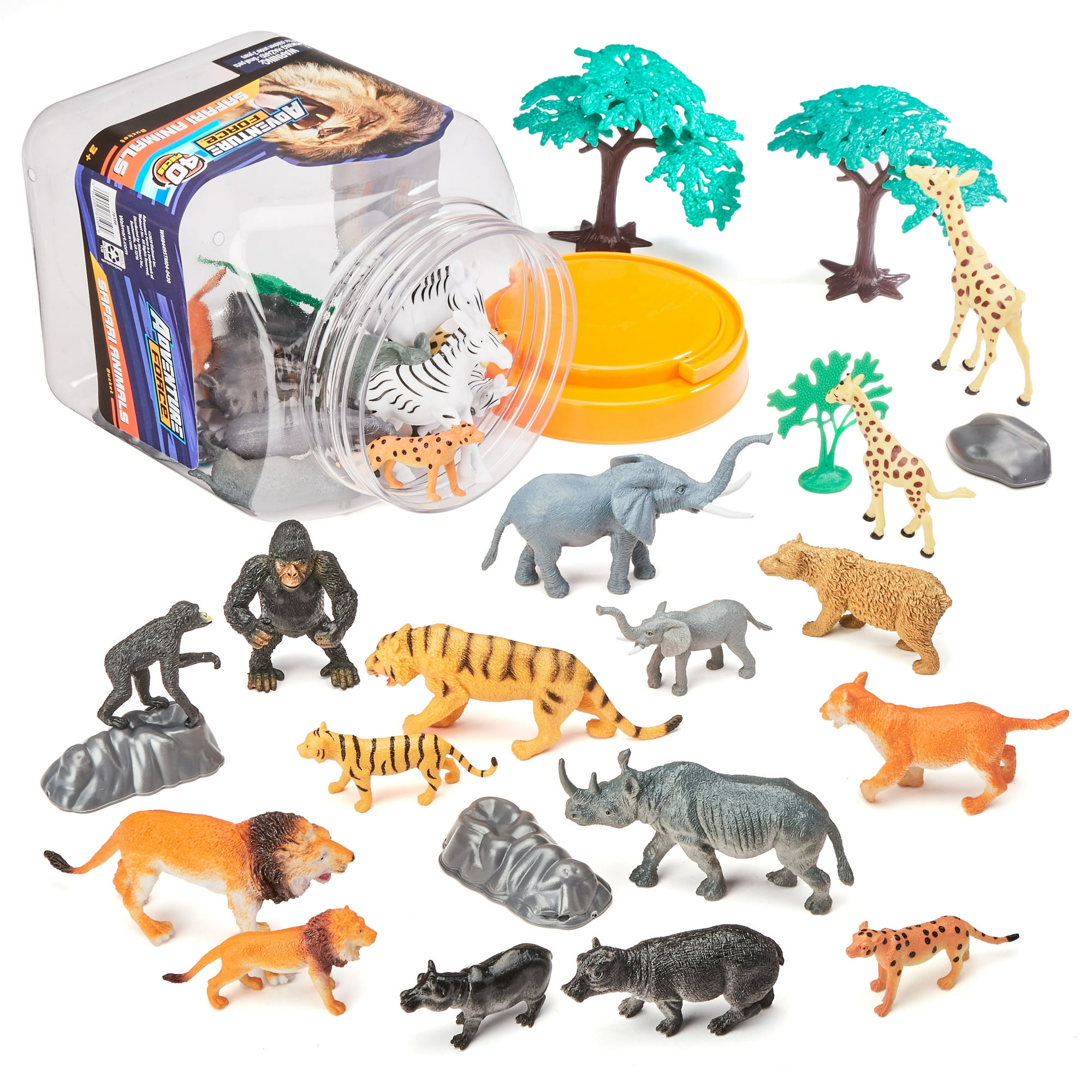 Felidae Animals