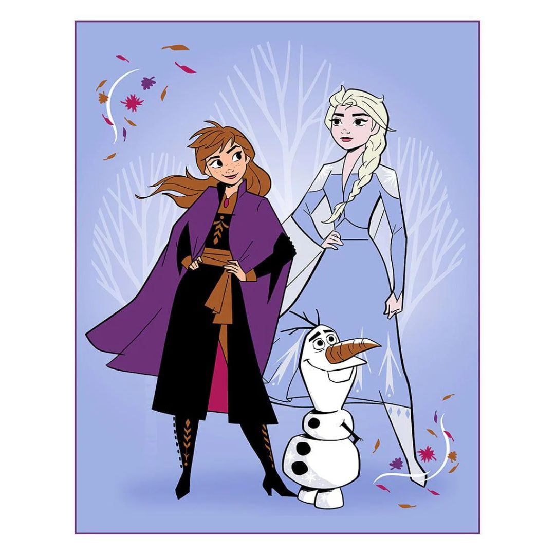 "Adventure" Frozen Twin/Full Disney Rachelle Blanket 60"x 80" - Walmart.com