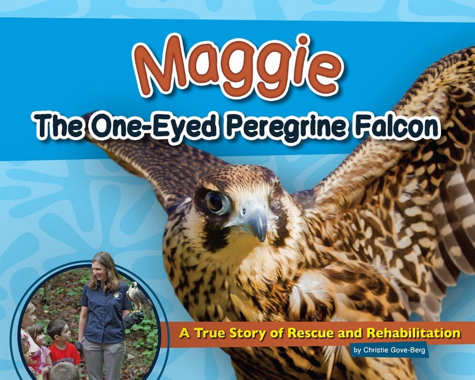 Wildlife Rescue Stories Maggie the One-Eyed Peregrine Falcon: A True ...