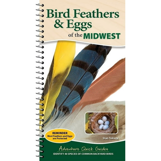 Adventure Quick Guides Bird Feathers & Eggs of the Midwest: Identify 40 ...