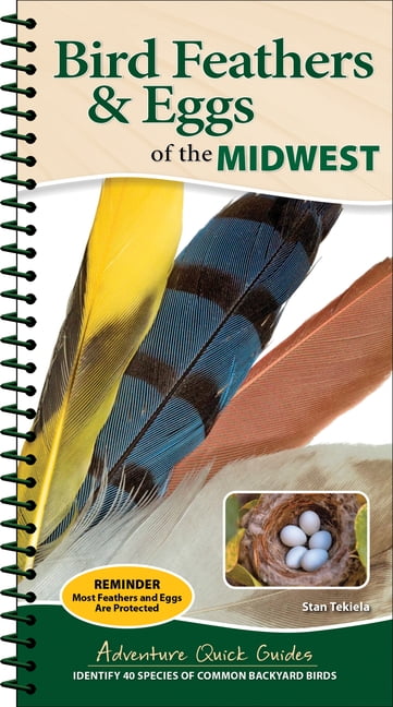 Adventure Quick Guides Bird Feathers & Eggs of the Midwest: Identify 40 ...