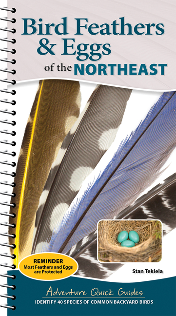 Adventure Quick Guides Bird Feathers & Eggs of the Northeast: Identify 40 Species of Common ...