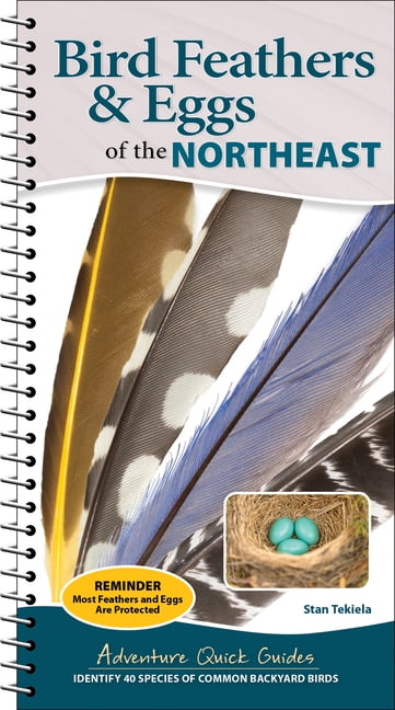 Adventure Quick Guides Bird Feathers & Eggs of the Northeast: Identify ...
