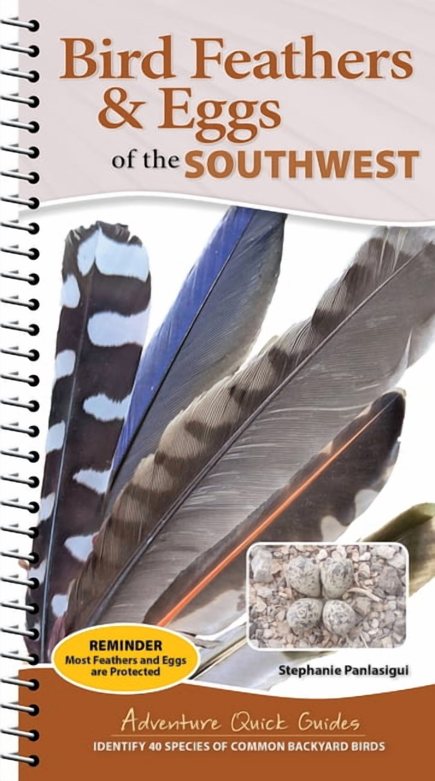 Adventure Quick Guides Bird Feathers & Eggs of the Southwest: Identify ...