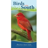 Adventure Quick Guides: Birds of the South: Your Way to Easily Identify ...