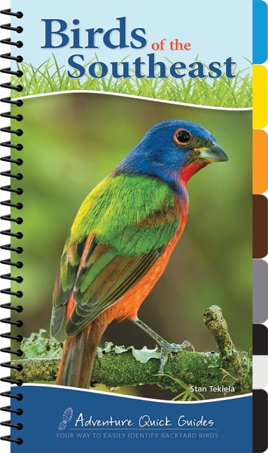 Adventure Quick Guides Birds of the Southeast: Your Way to Easily ...