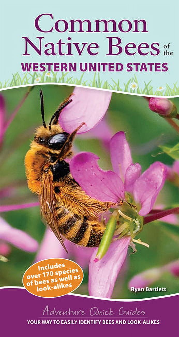 Adventure Quick Guides: Common Native Bees of the Western United States ...