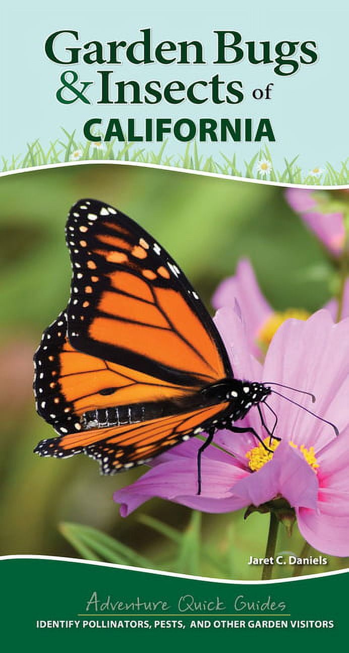 Adventure Quick Guides Garden Bugs & Insects of California: Identify ...
