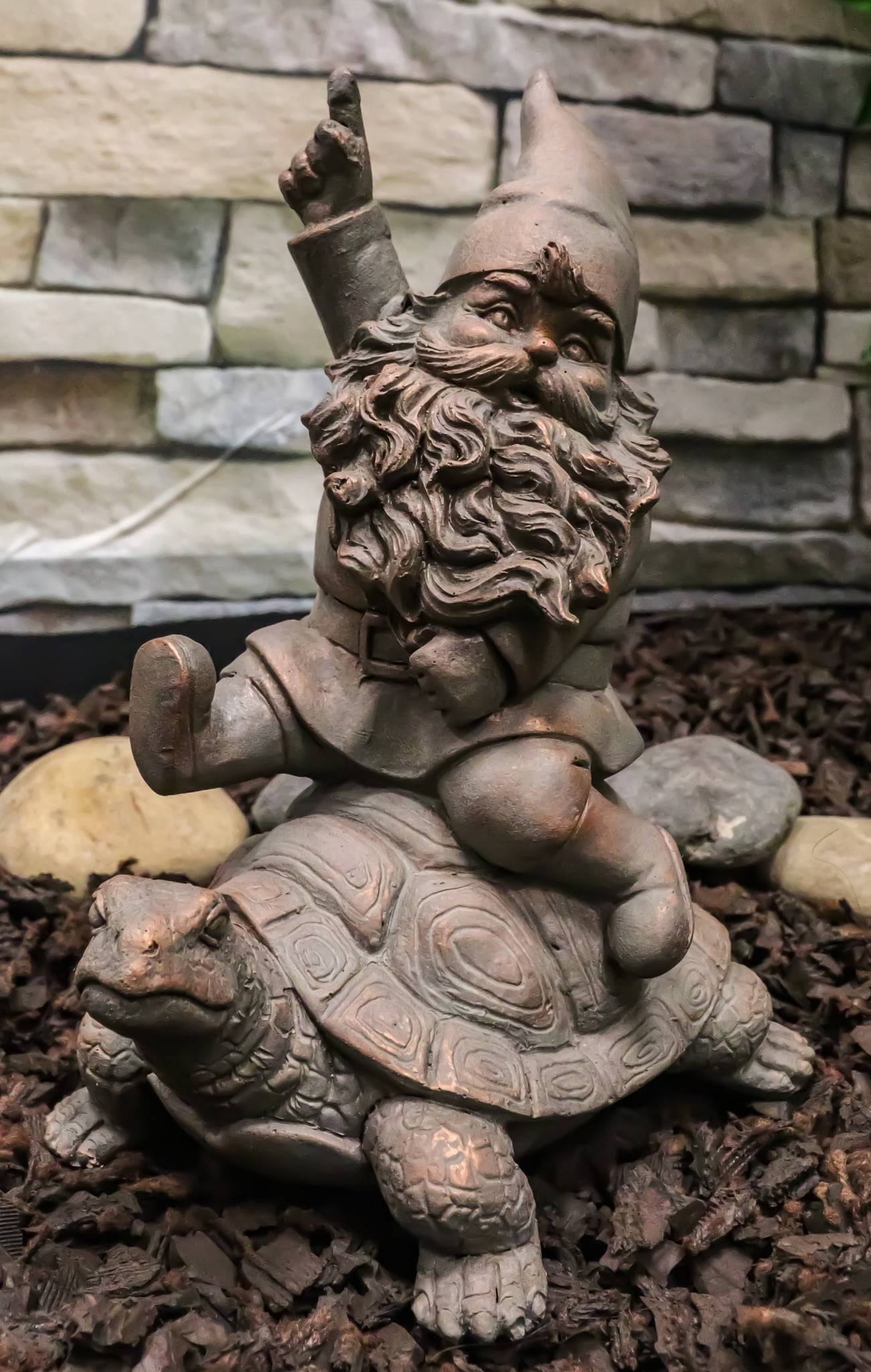 Adventurous Mr Gnome Sitting On Wild Rodeo Giant Tortoise Garden ...