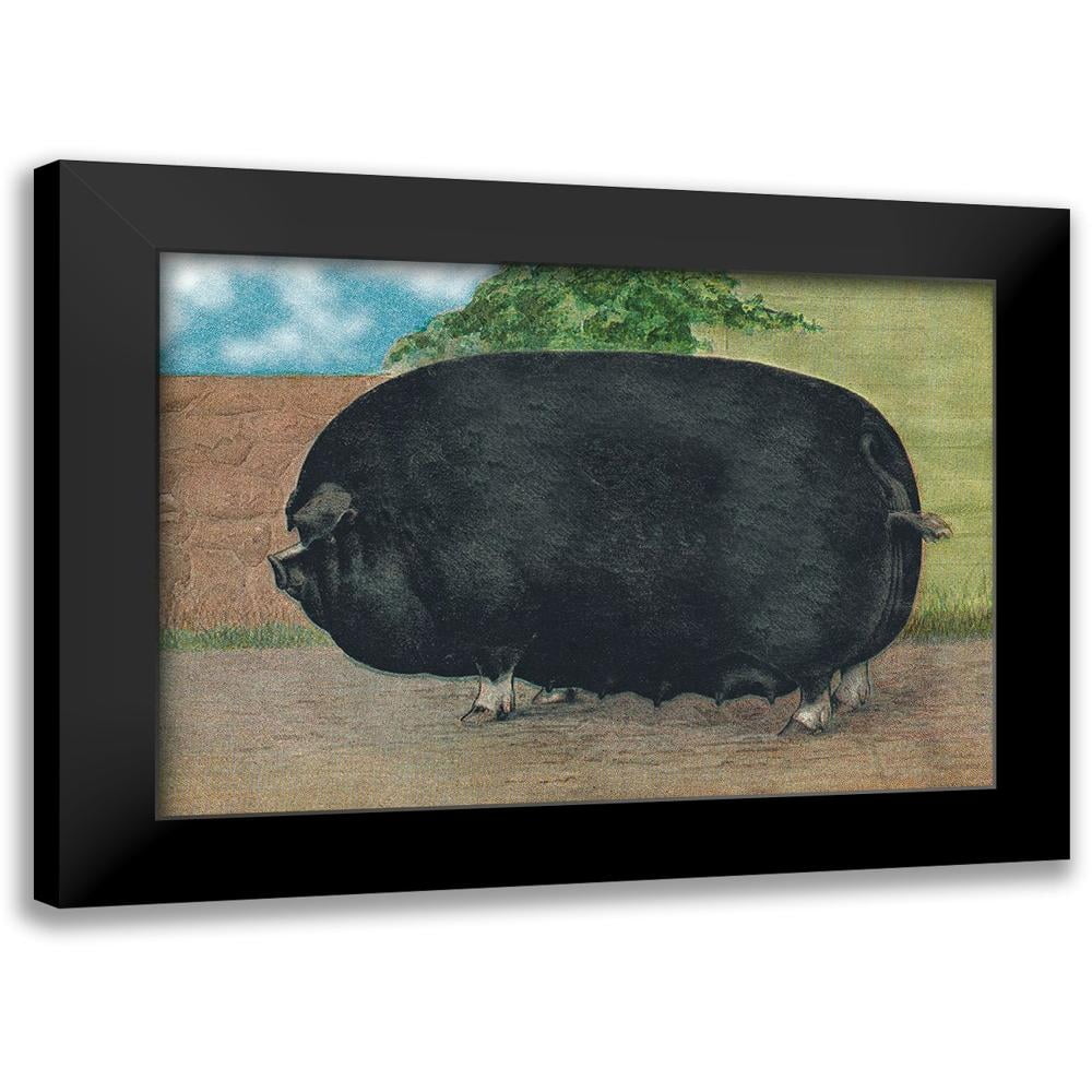 Advertisement 24x18 Black Modern Framed Museum Art Print Titled - Pigs ...