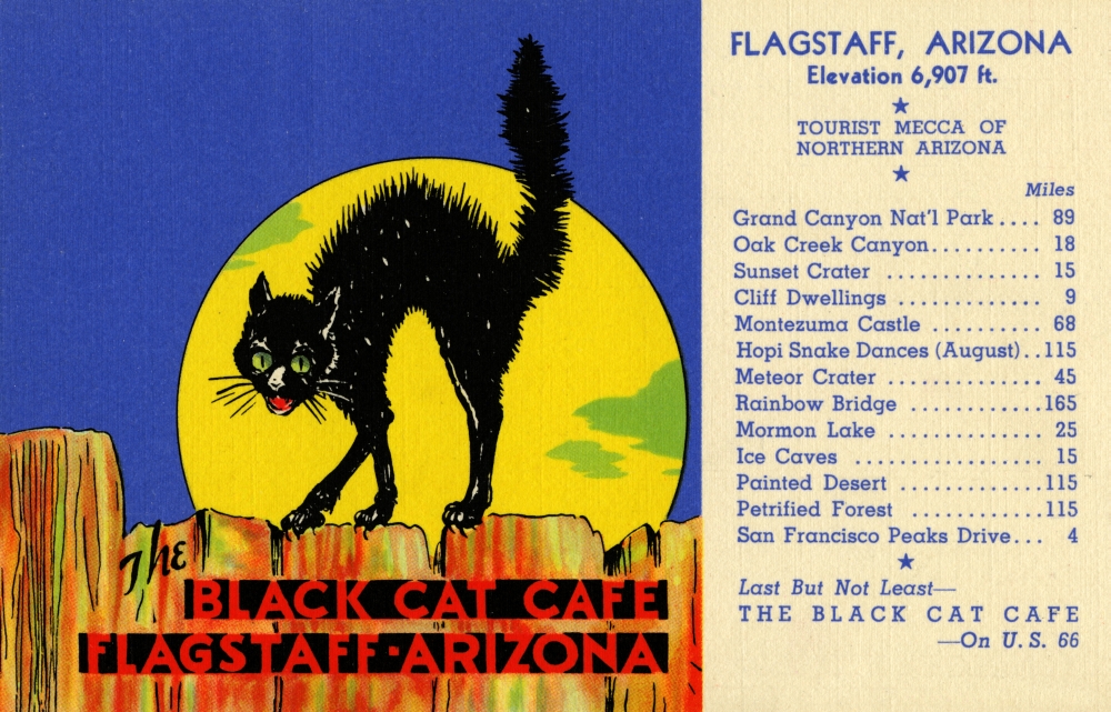 Advertising postcard for The Black Cat Caf? of Flagstaff, Arizona on ...