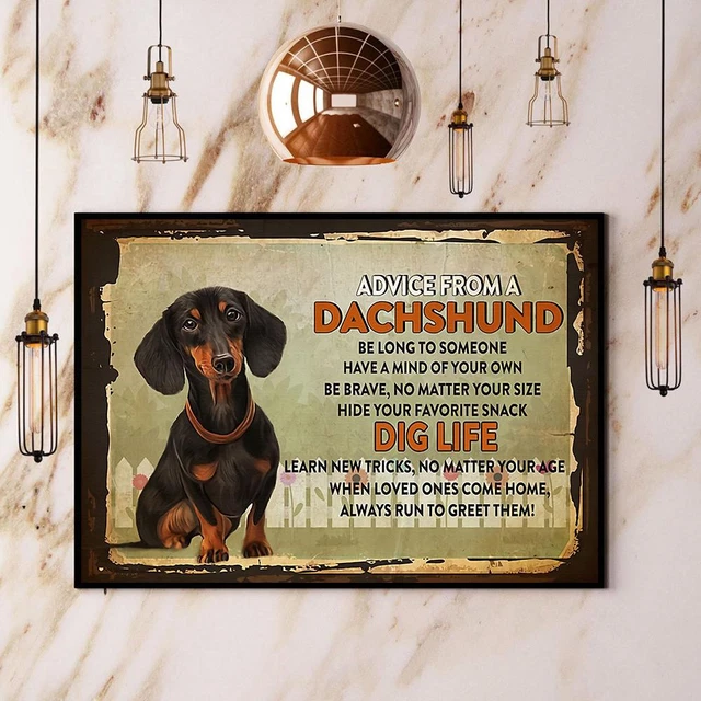 Advice From A Dachshund Dig Life Paper Poster, Poster NO FRAMED POSTER ...