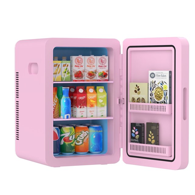 Advwin 22L Mini Fridge Cooler, Compact Personal Refrigerators for ...