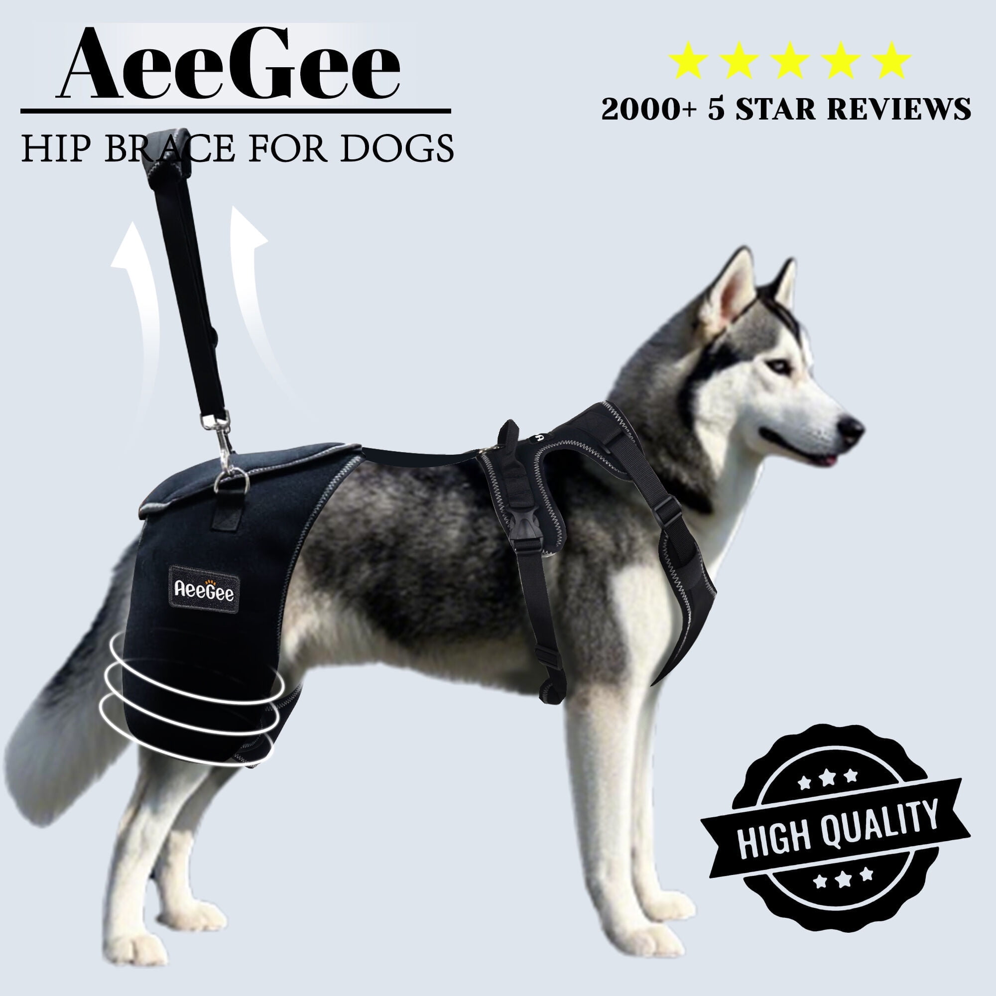 AeeGee Dog Hip Knee Brace,for Dogs with Hip Injuries or Post - Surgery ...