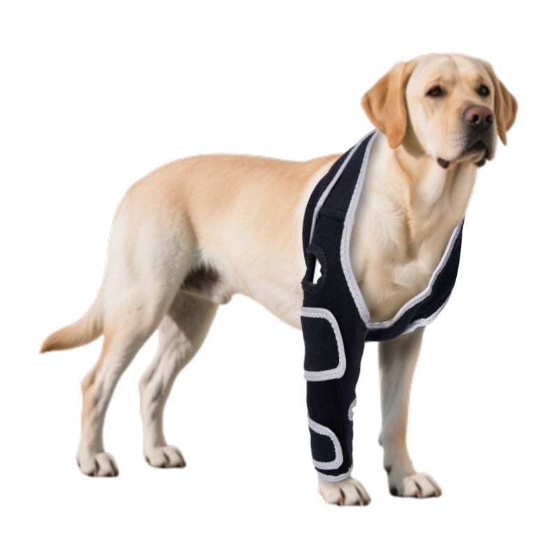 AeeGee Knee Brace for Dogs with Torn ACL Injuries in the Front or Back ...