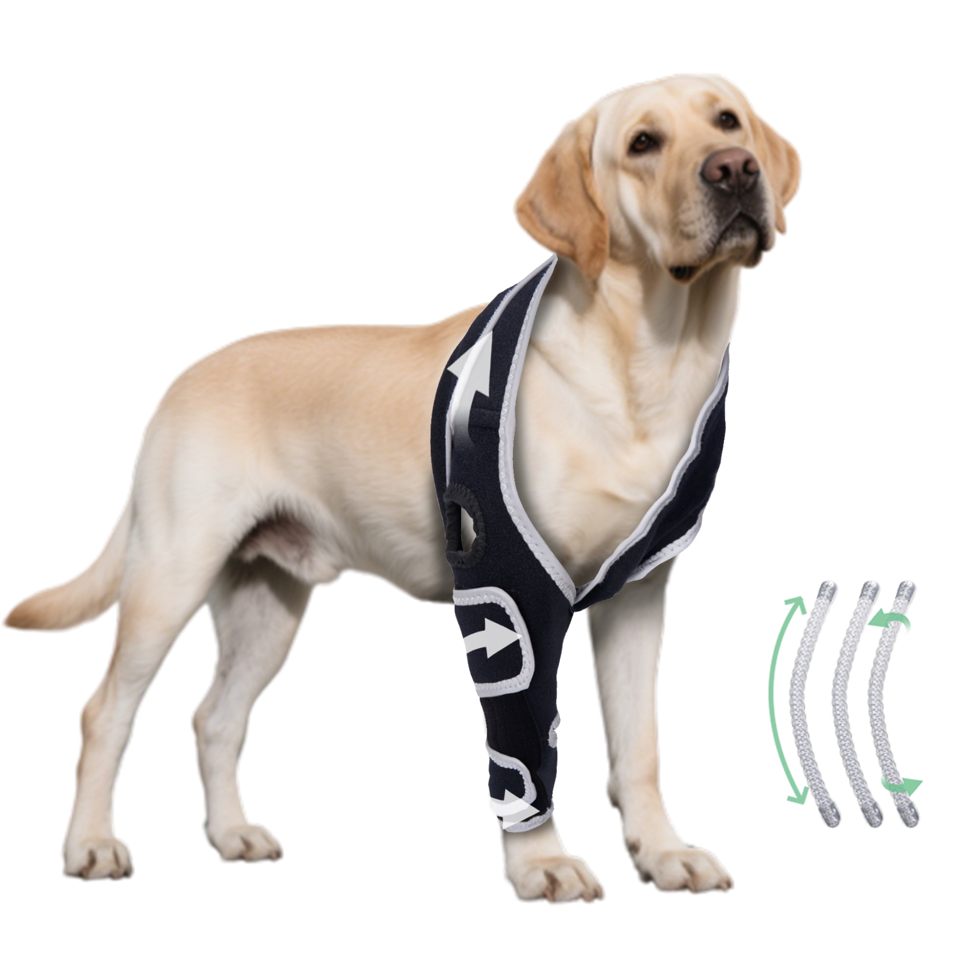 AeeGee Knee Brace for Dogs with Torn ACL Injuries in the Front or Back ...