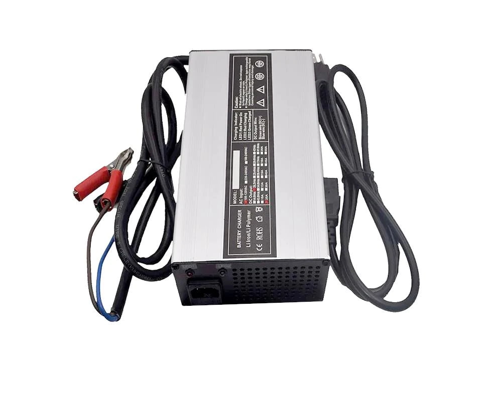 Aegis Battery 24V 25A LiFePO4 Battery Charger - Walmart.com