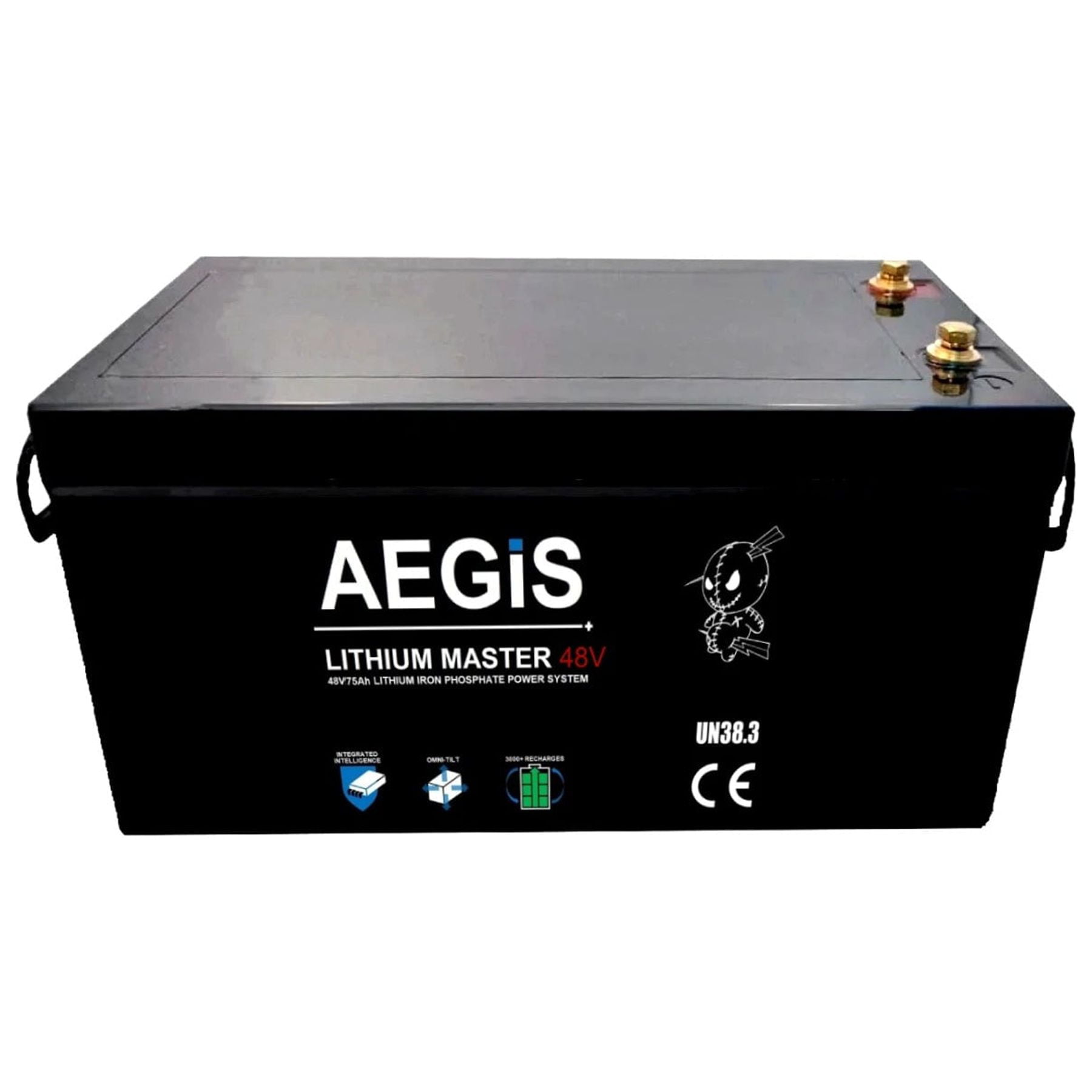 Aegis Battery LiFePO4 48 Volt Automotive Battery, Group Size ALF ...