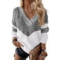 Aellinatey Autumn Winter Top Leopard Print V Neck Loose Fit Knit ...
