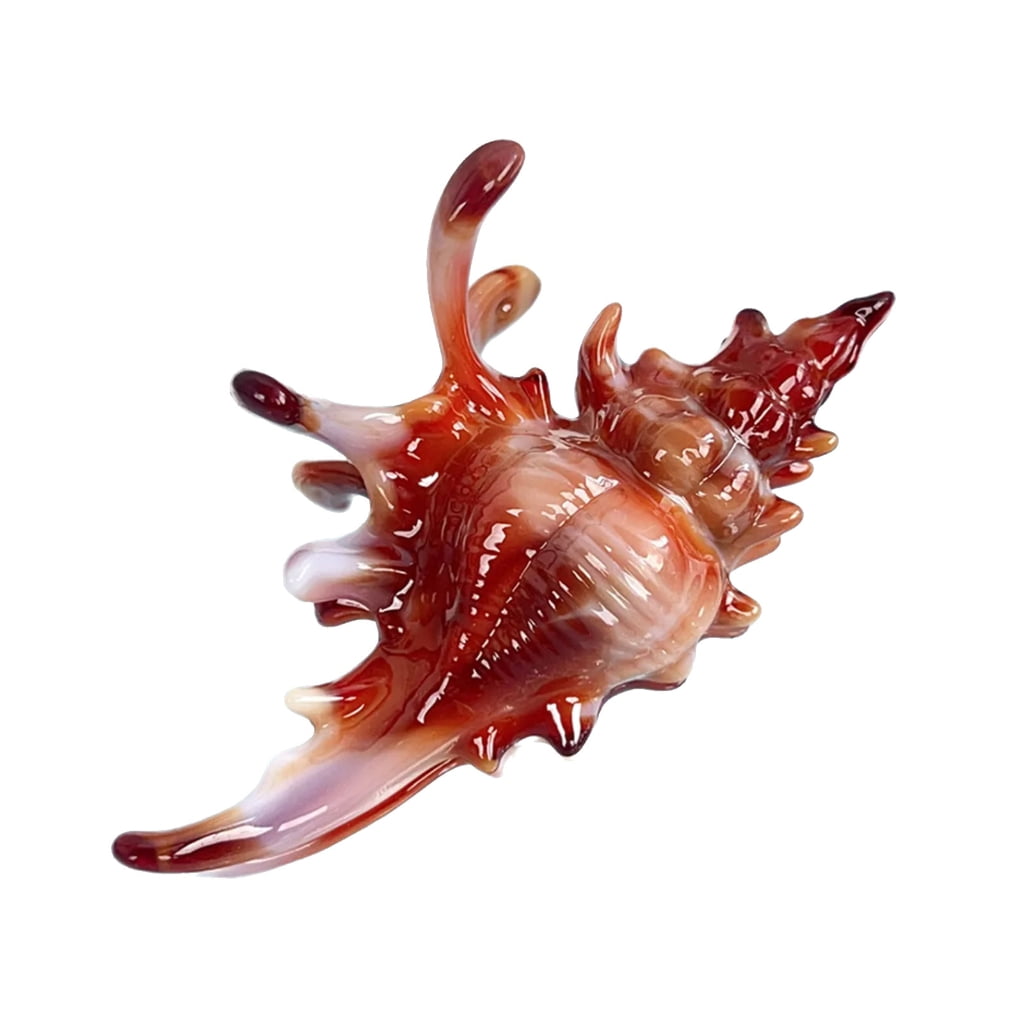 Aellinatey Trendy Conch Themed Hair Clip Nonslip Jaw ABS Hairpin ...