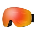 Aellinatey Winter Ski Goggle Magnetic Detachable Lens Double Layer Anti ...