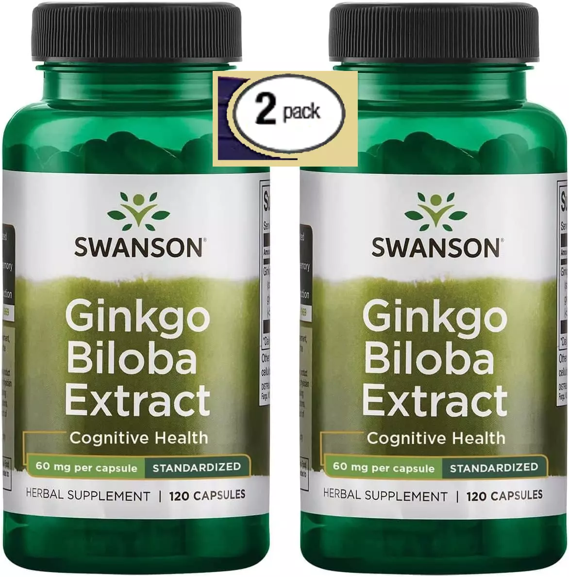 Aelona 2 Pack Ginkgo Biloba Extract Standardized 60mg 240 Caps (2x120 ...
