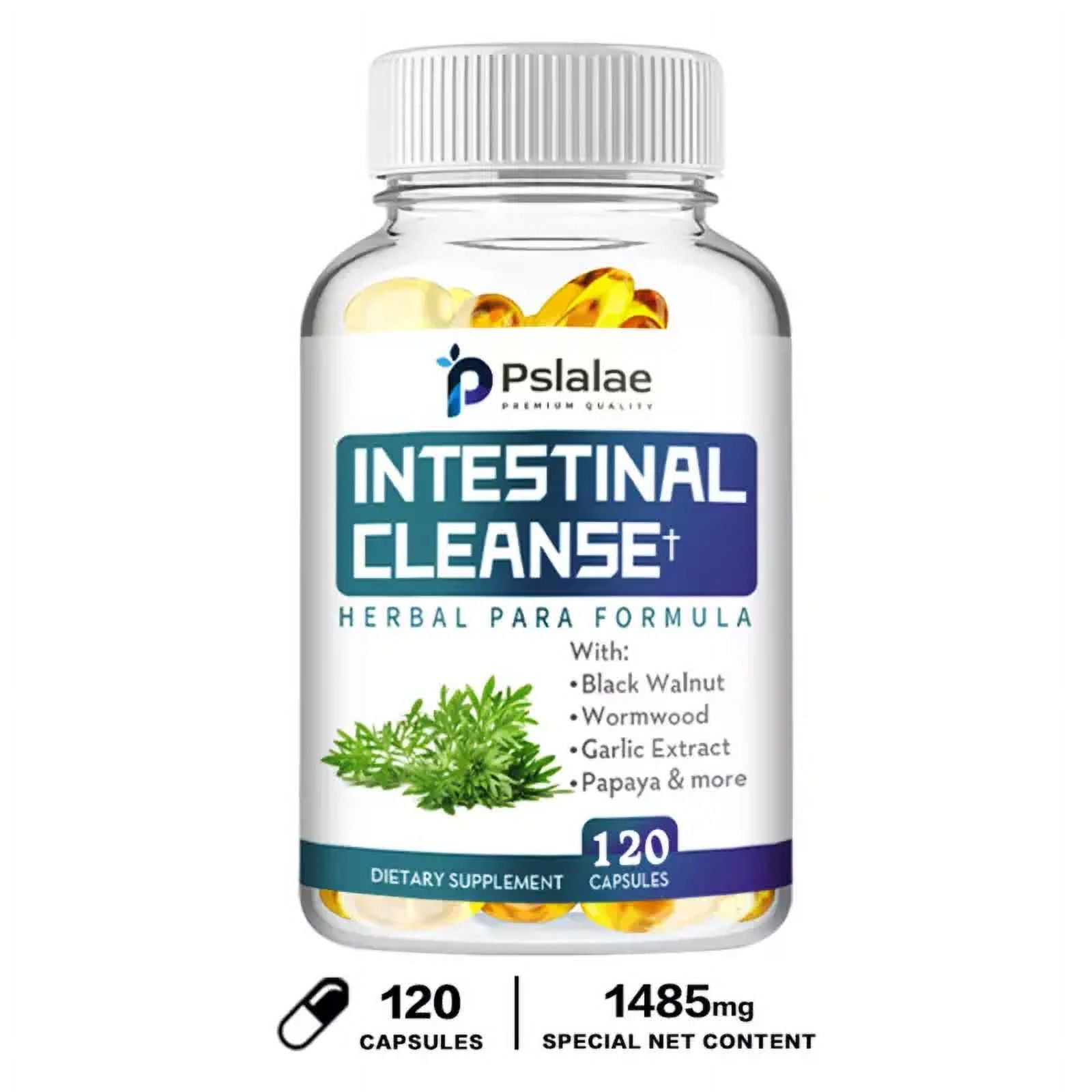 Aelona_Intestinal_Cleanse_-_Wormwood_-_Parasite_Detox,_Constipation ...