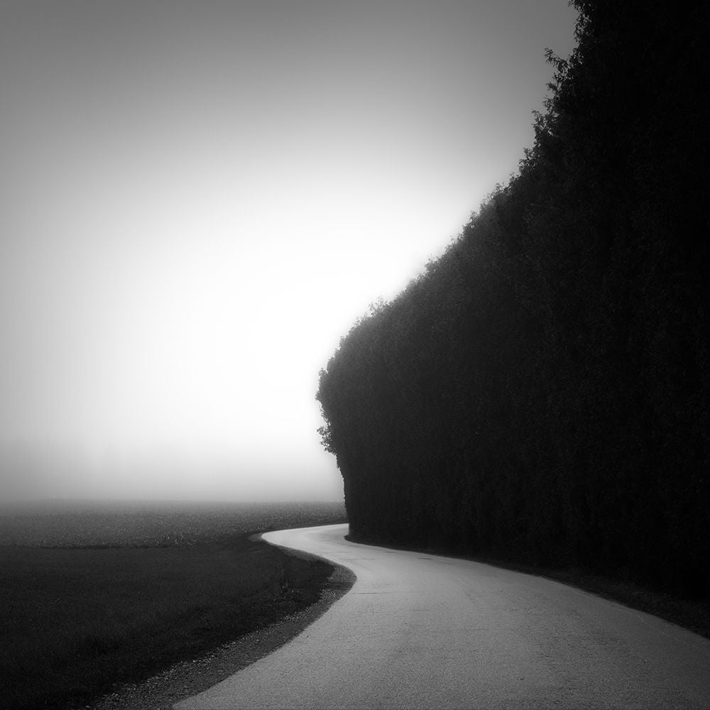 Aeon Poster Print - Alexej Schulz - Walmart.com