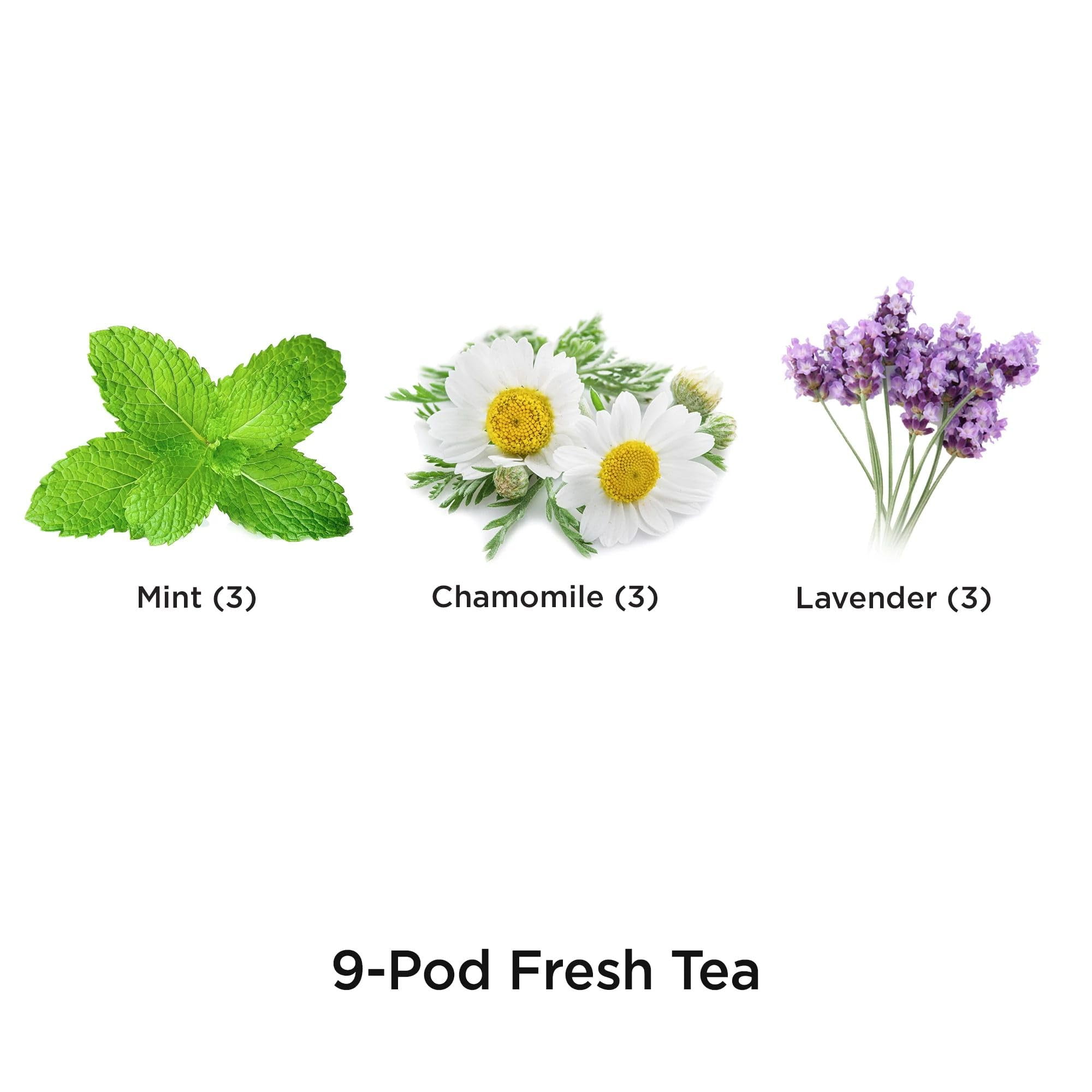 AeroGarden Fresh Tea FEV6 Seed Pod Kit (9-pod) - Walmart.com