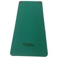 Aeromat Elite Workout Mat with Eyelets, 24" x 56" x 0.5", Phthalate ...