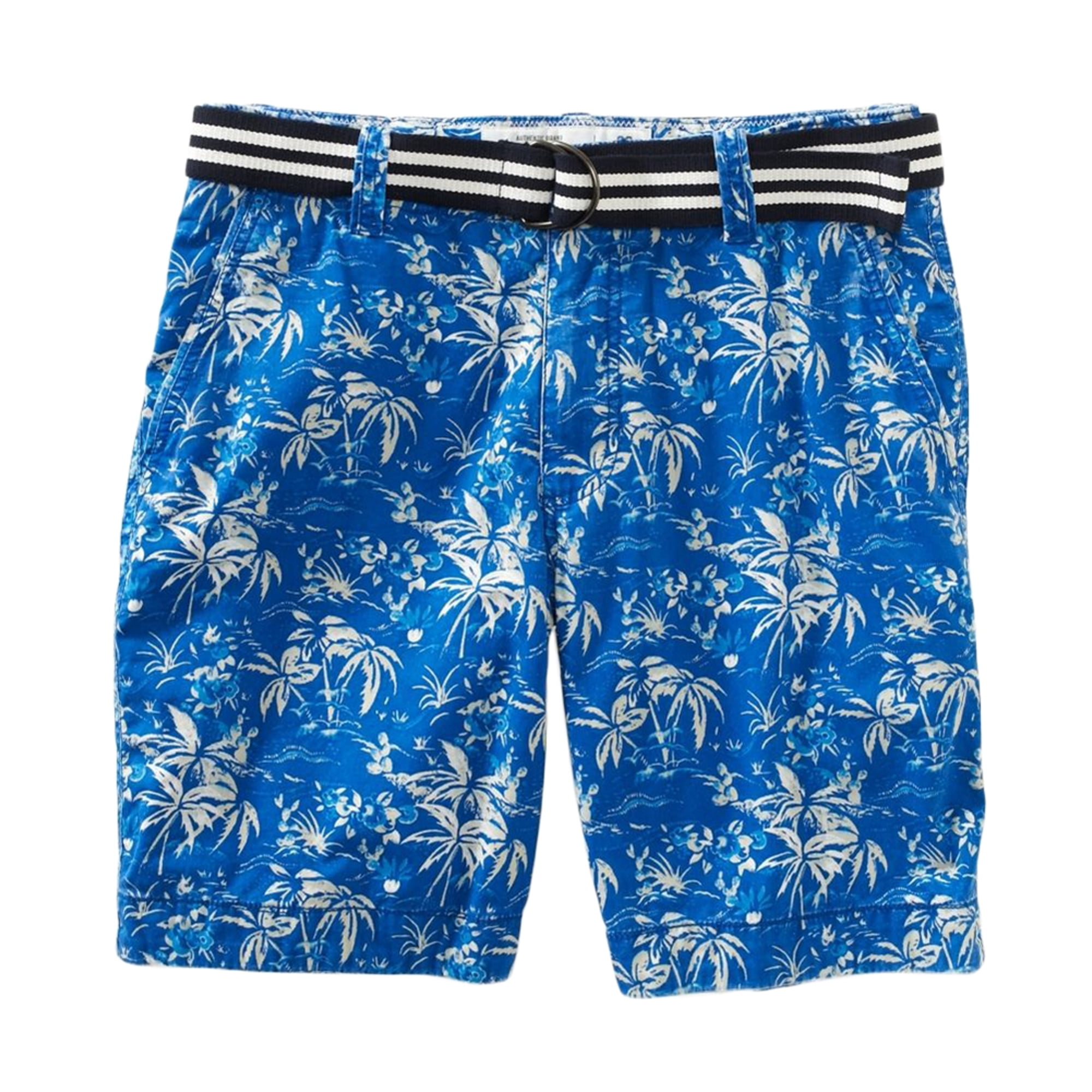 Aeropostale Mens Belted Tropical Pattern Casual Chino Shorts, Blue, 27 ...