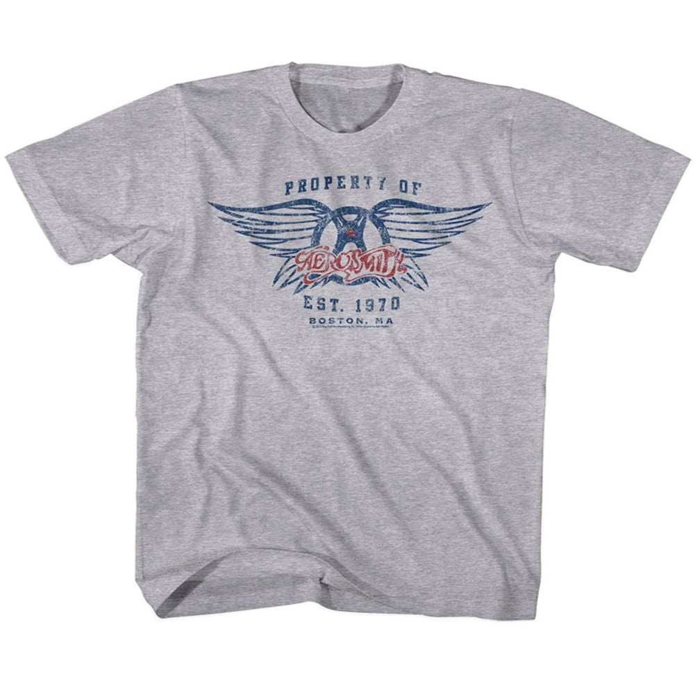 Aerosmith Est 1970 Graphite Heather Youth T-Shirt M - Walmart.com