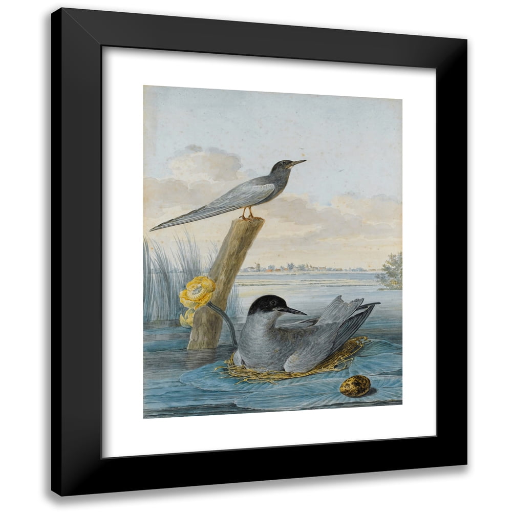 Aert Schouman 15x18 Black Modern Framed Museum Art Print Titled - A ...