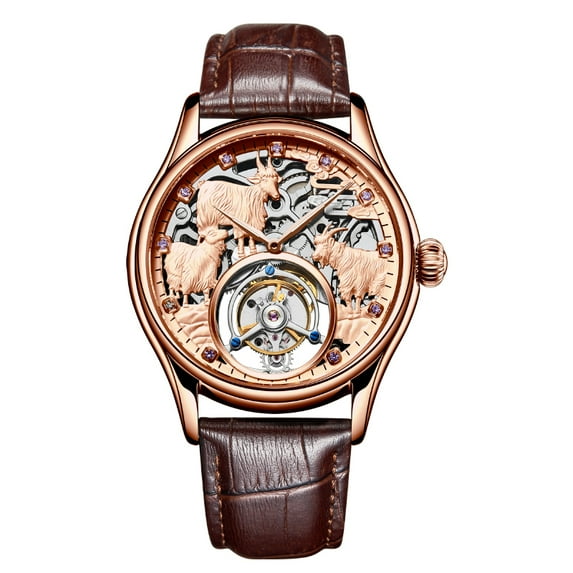 Aesop Manual Tourbillon Men's Mechanical Watch With Hollow Movement ...