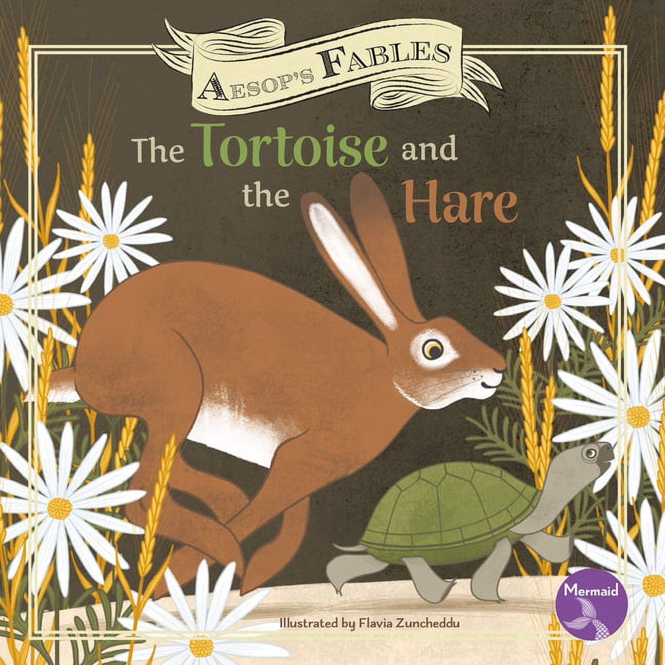 Aesop's Fables: The Tortoise and the Hare (Paperback) - Walmart.com