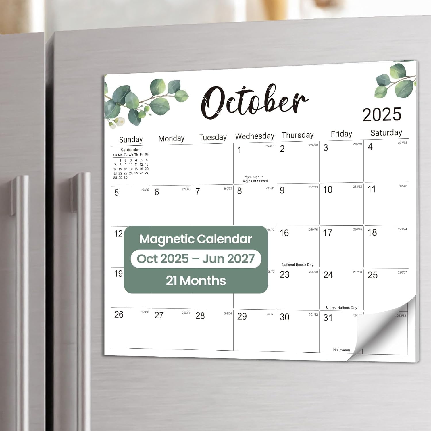 Aesthetic 2025-2026 Magnetic Calendar for Refrigerator, 21-Month Fridge Magnet from October 2025 ...