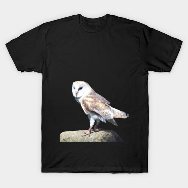 Aesthetic Barn Owl on a Rock Wildlife Nature Graphic Unisex T-Shirt ...