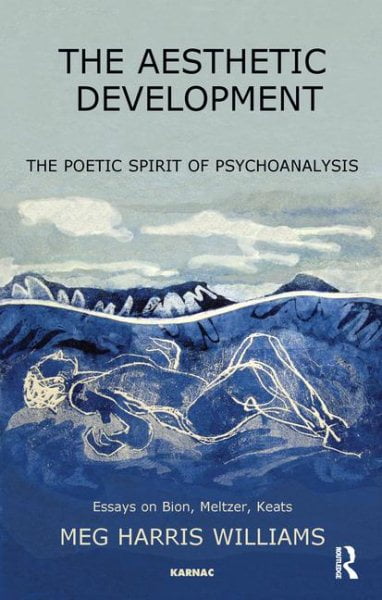 Pre-Owned Aesthetic Development : The Poetic Spirit of Psychoanalysis ...