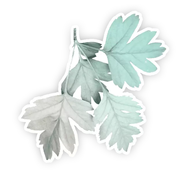 Aesthetic Green Leaf Leaves Palm Tree Green Sticker Laptop Car Sticker ...