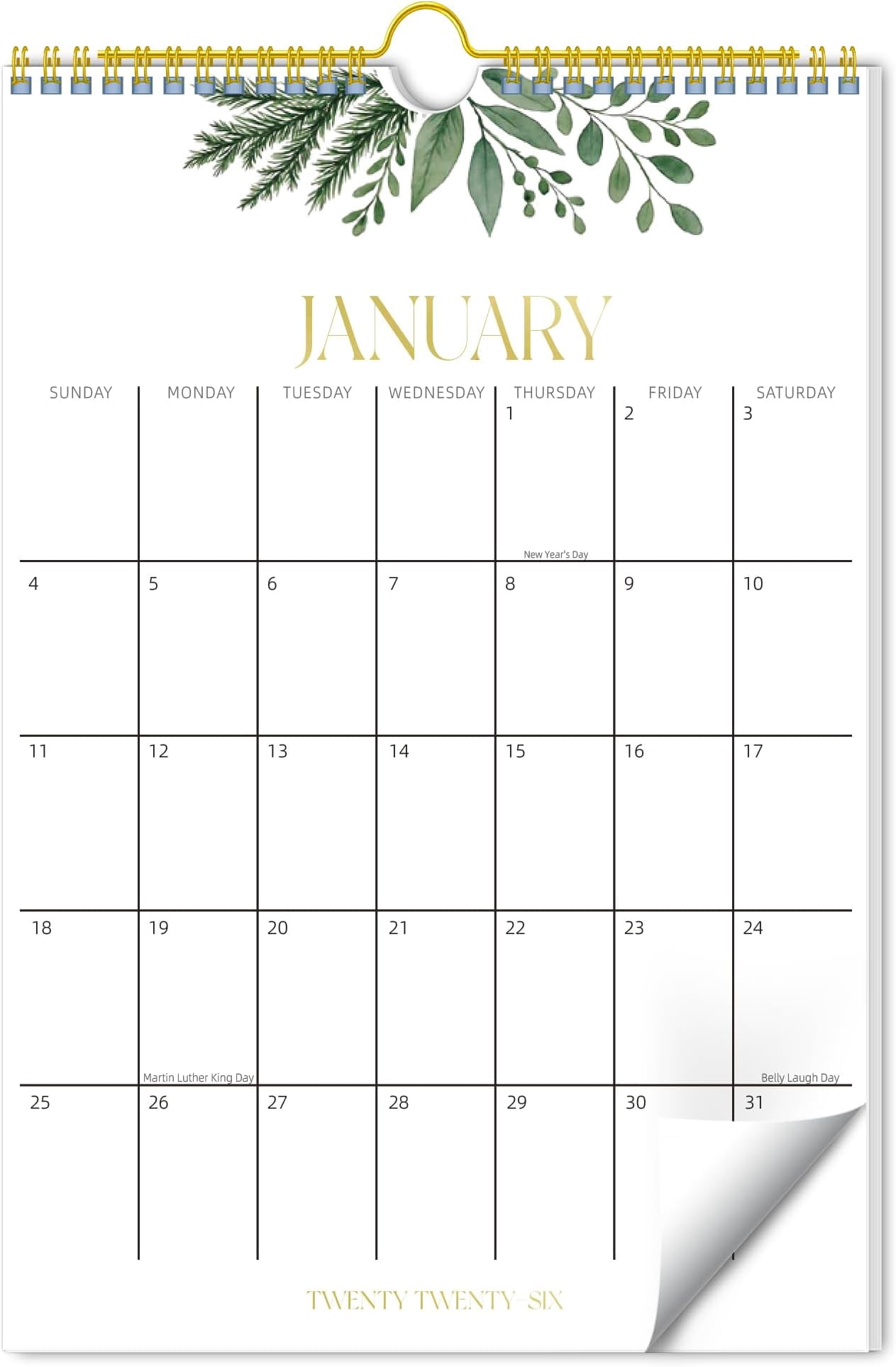 Aesthetic Small Wall Calendar 2026-2027, 18 Month Horizontal Calendar ...