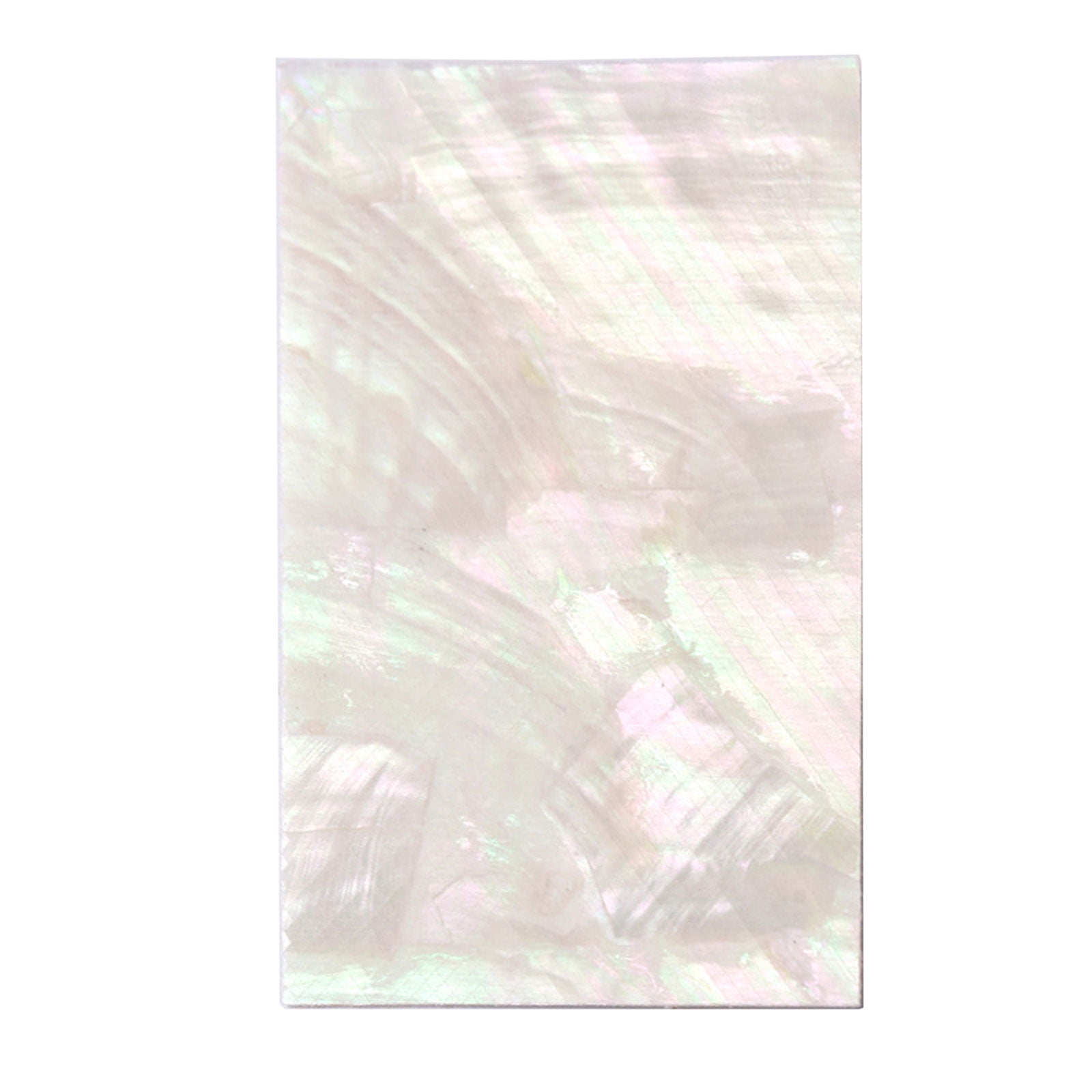 Aesthetic Sticker with Abalones Shells Pattern for Scrapbooks Photo ...
