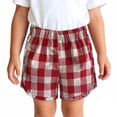 Aezemi Girls Plaid Shorts, Kids Wide Leg Elastic Waist Loose Fit Shorts ...