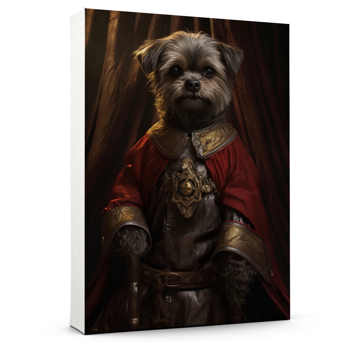 Affenpinscher Pet Portrait in a Royal Costume Dog in a Costume Portrait ...