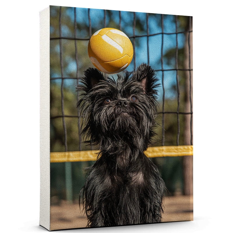 Affenpinscher Vintage Dog Volleyball Canvas – Artistic Sports ...