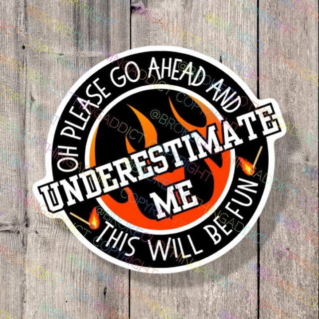 Affirmation Vinyl, Ephemera Journal, Gratitude Gift Idea, Laptop ...