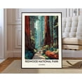 Affixzi Redwood National Park California Poster, Giant Sequoia Forest ...