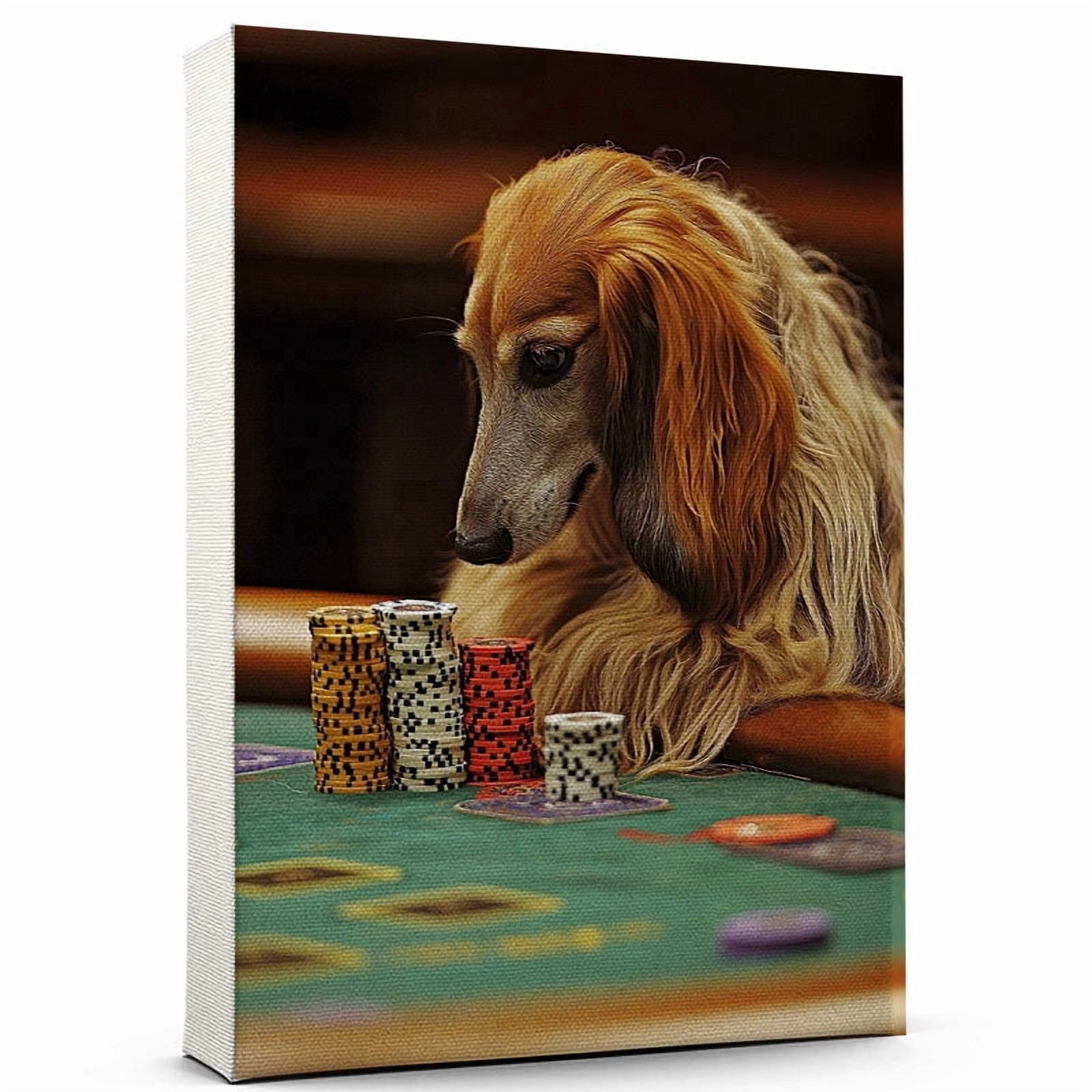 Afghan Hound Dog Poker Stretched Canvas Size 8x12 – Funny Afghan Hound ...