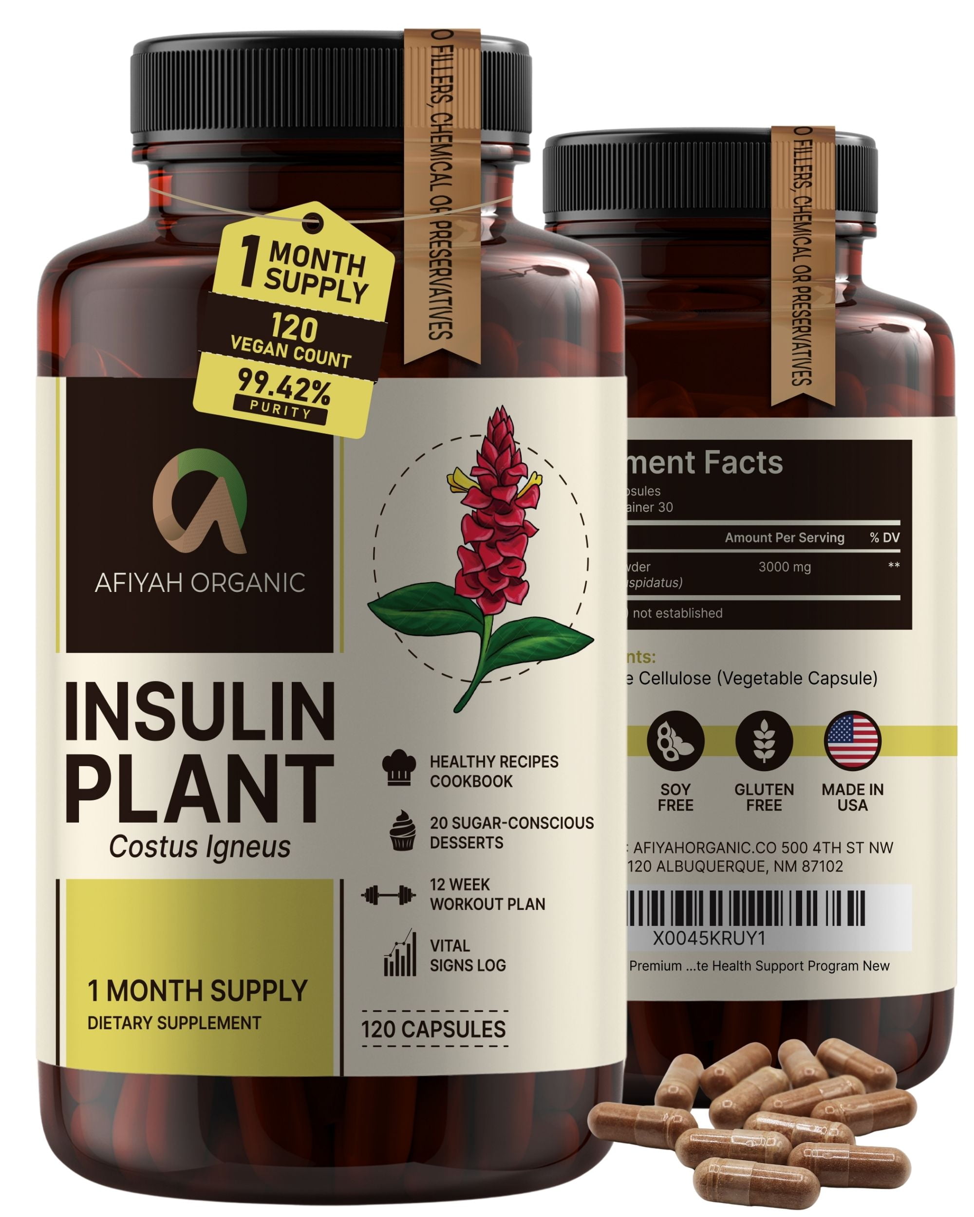 Afiyah Organic - Costus Igneus (Insulin Plant) Capsules, 120 Caps ...